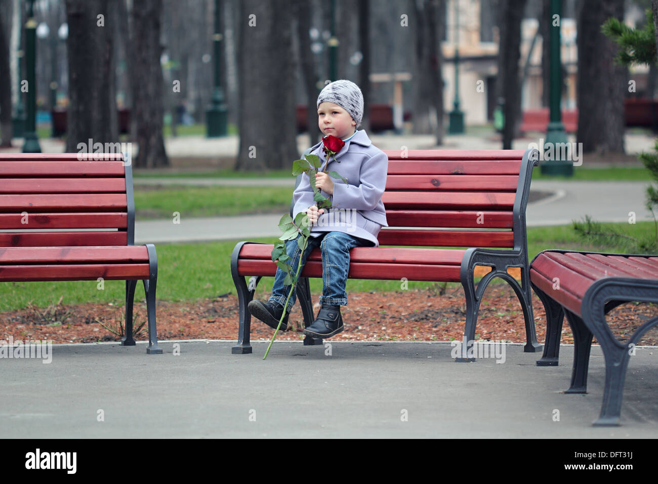 Little romantic boy with rose waiting in the park Stock Photo - Alamy