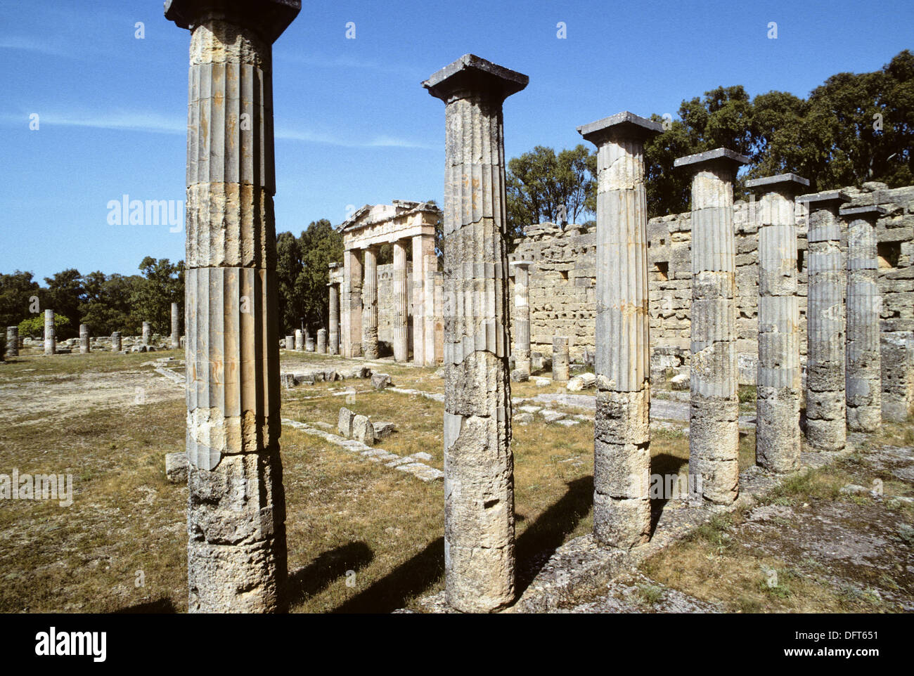 Greek ruins of cyrene in libya hi-res stock photography and images - Alamy
