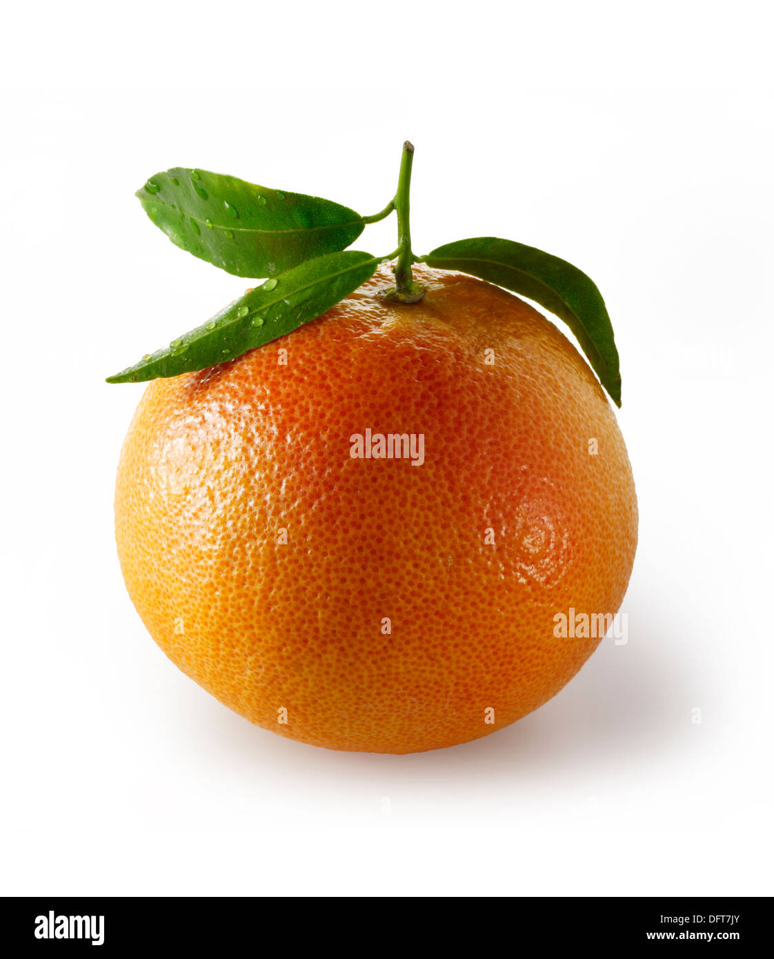 Fresh whole Red Grapefruit Stock Photo - Alamy