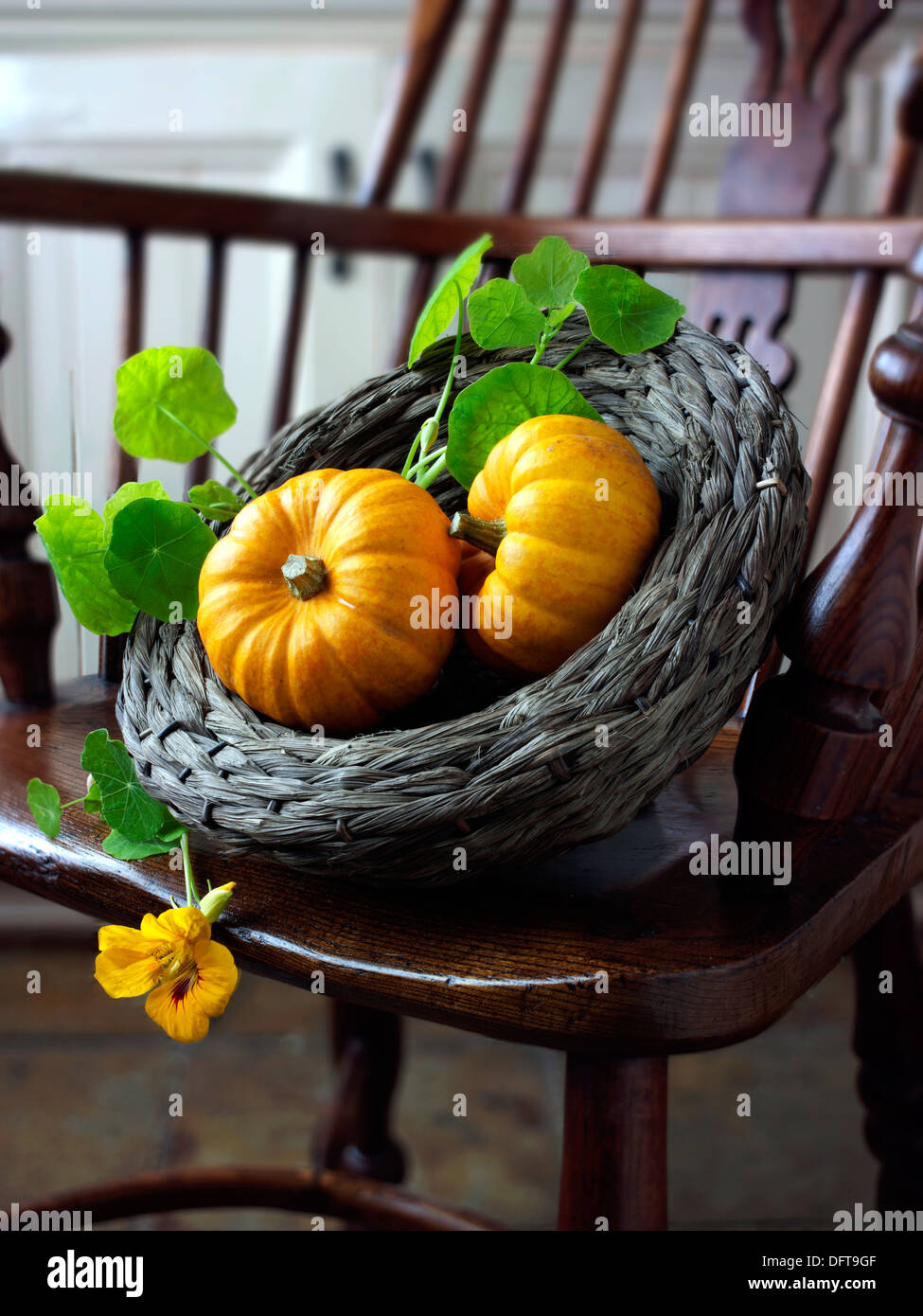 Fresh whole Mini Orange Pumpkins Stock Photo - Alamy