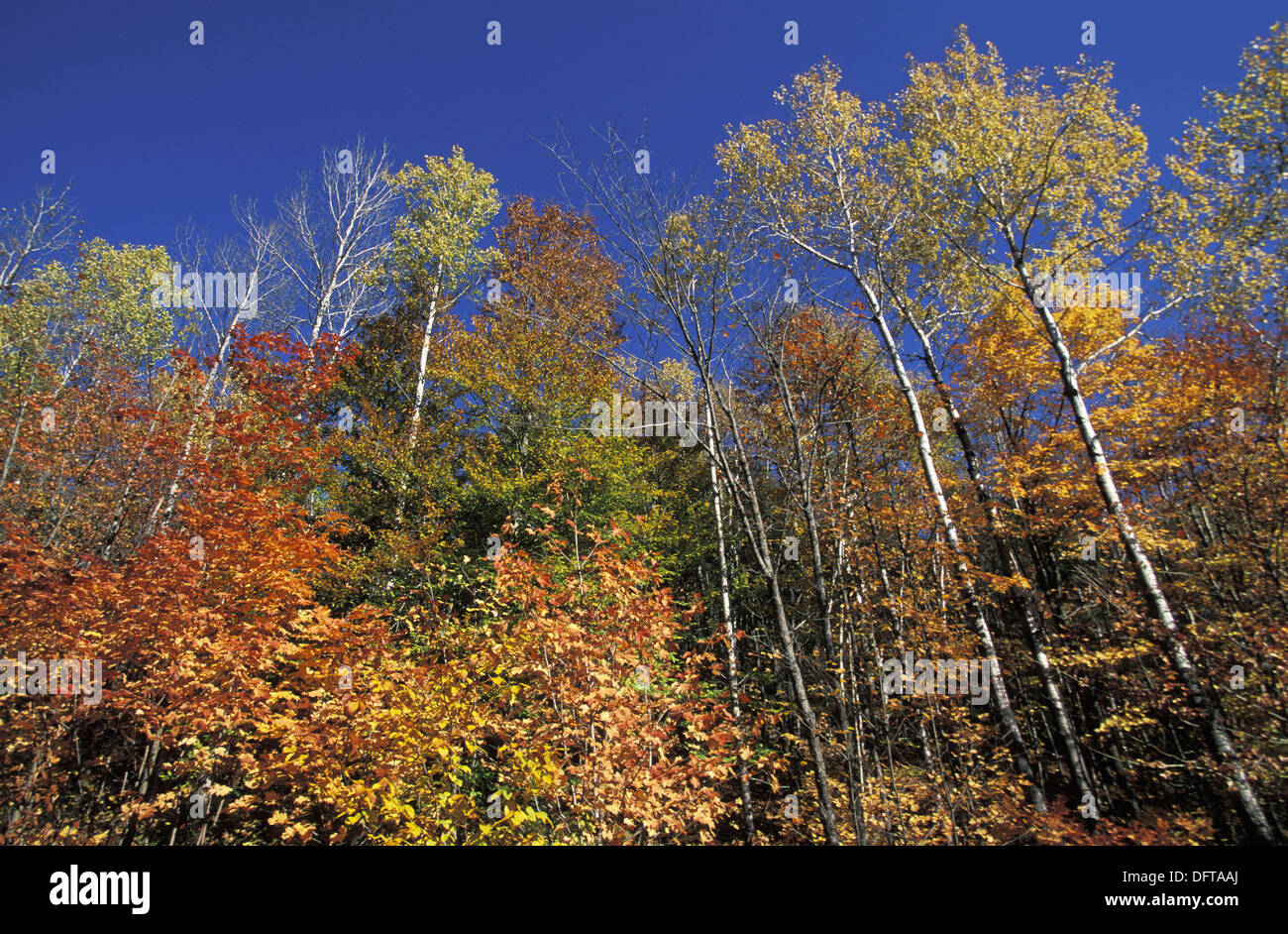 Joliette region hi-res stock photography and images - Alamy