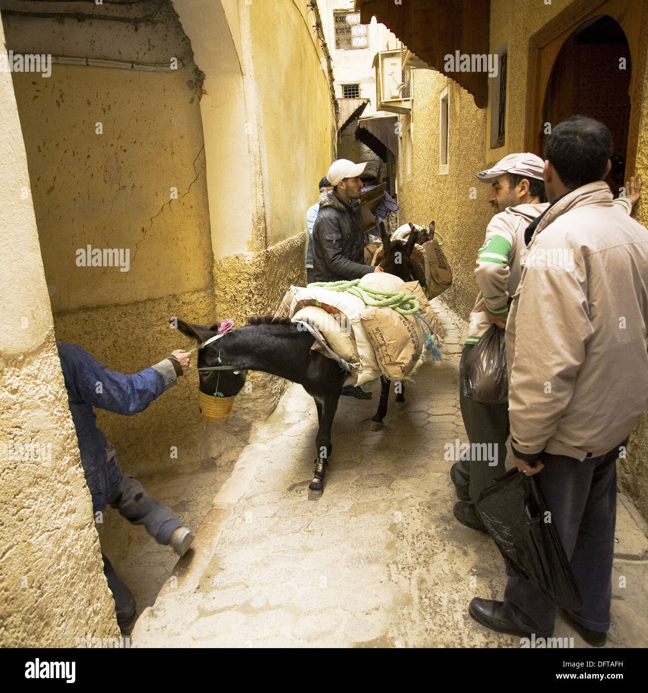 View of a man walking with a donkey on the road, Fes, Morocco Stock ...