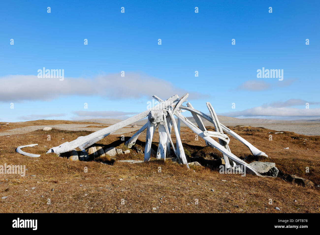 Thule Culture Stock Photos & Thule Culture Stock Images - Alamy