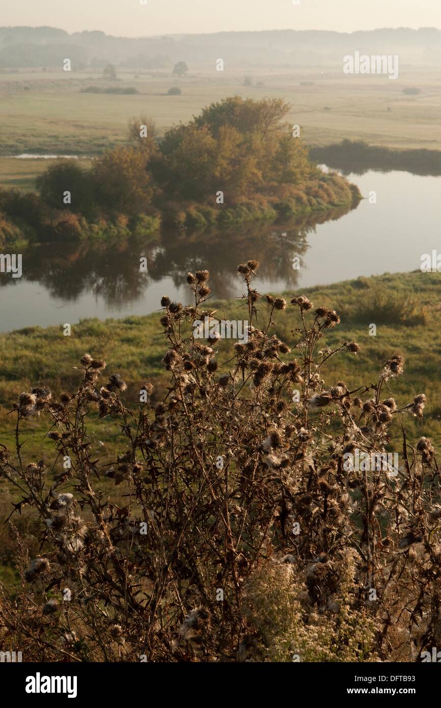 Lomza hi-res stock photography and images - Alamy