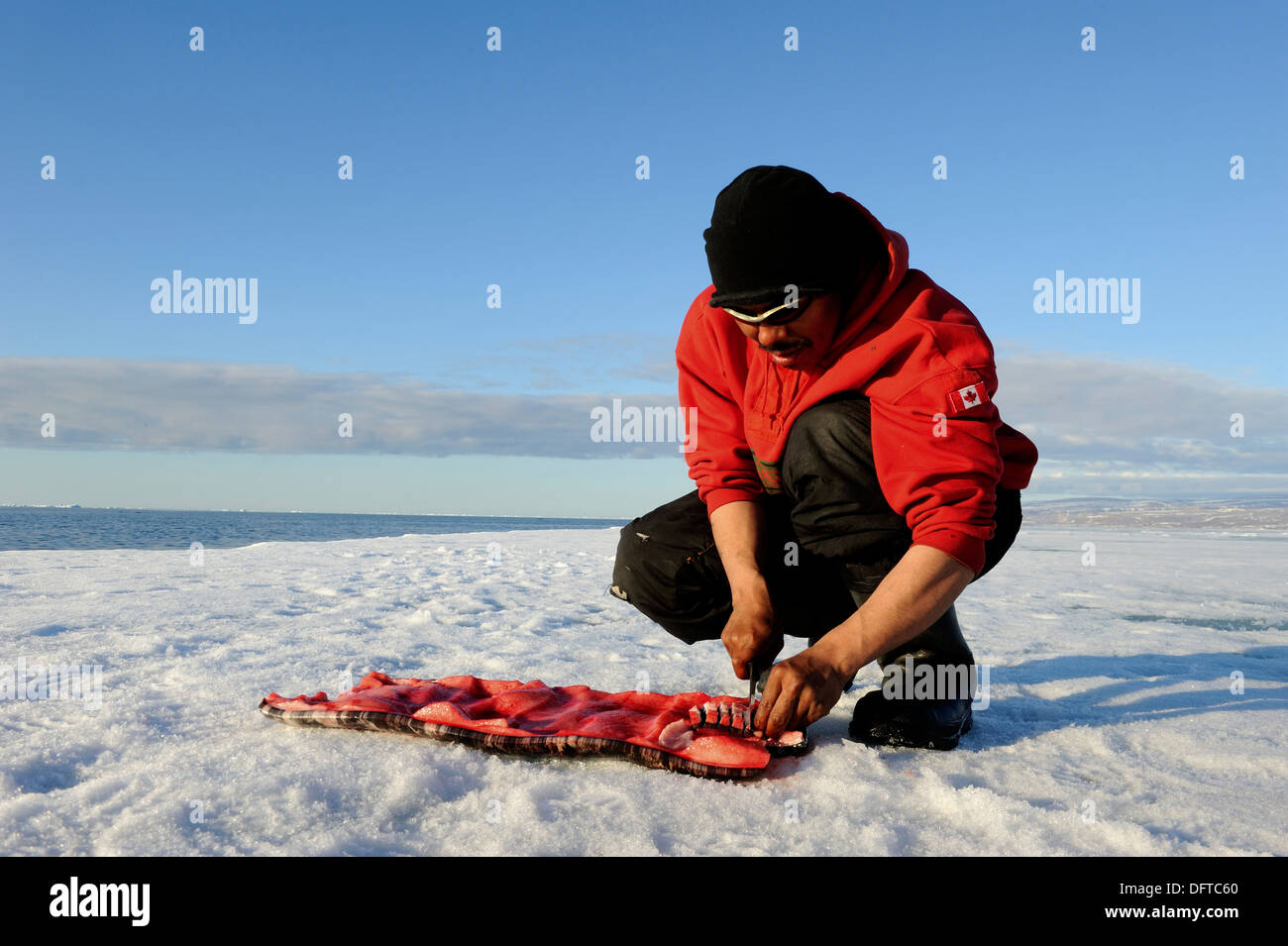 Inuit Food And Hunting