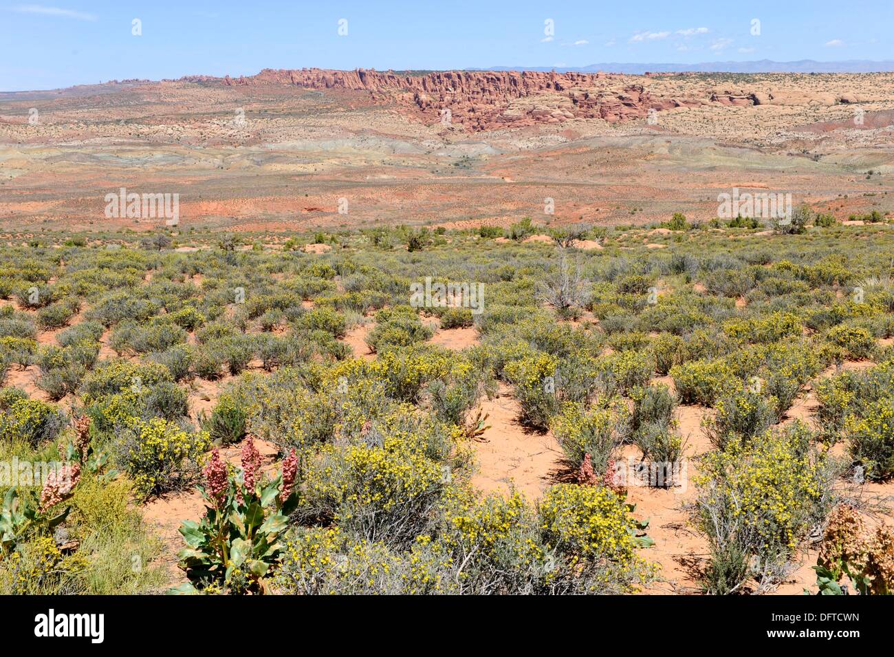 Salt valley arches national park hi-res stock photography and images ...