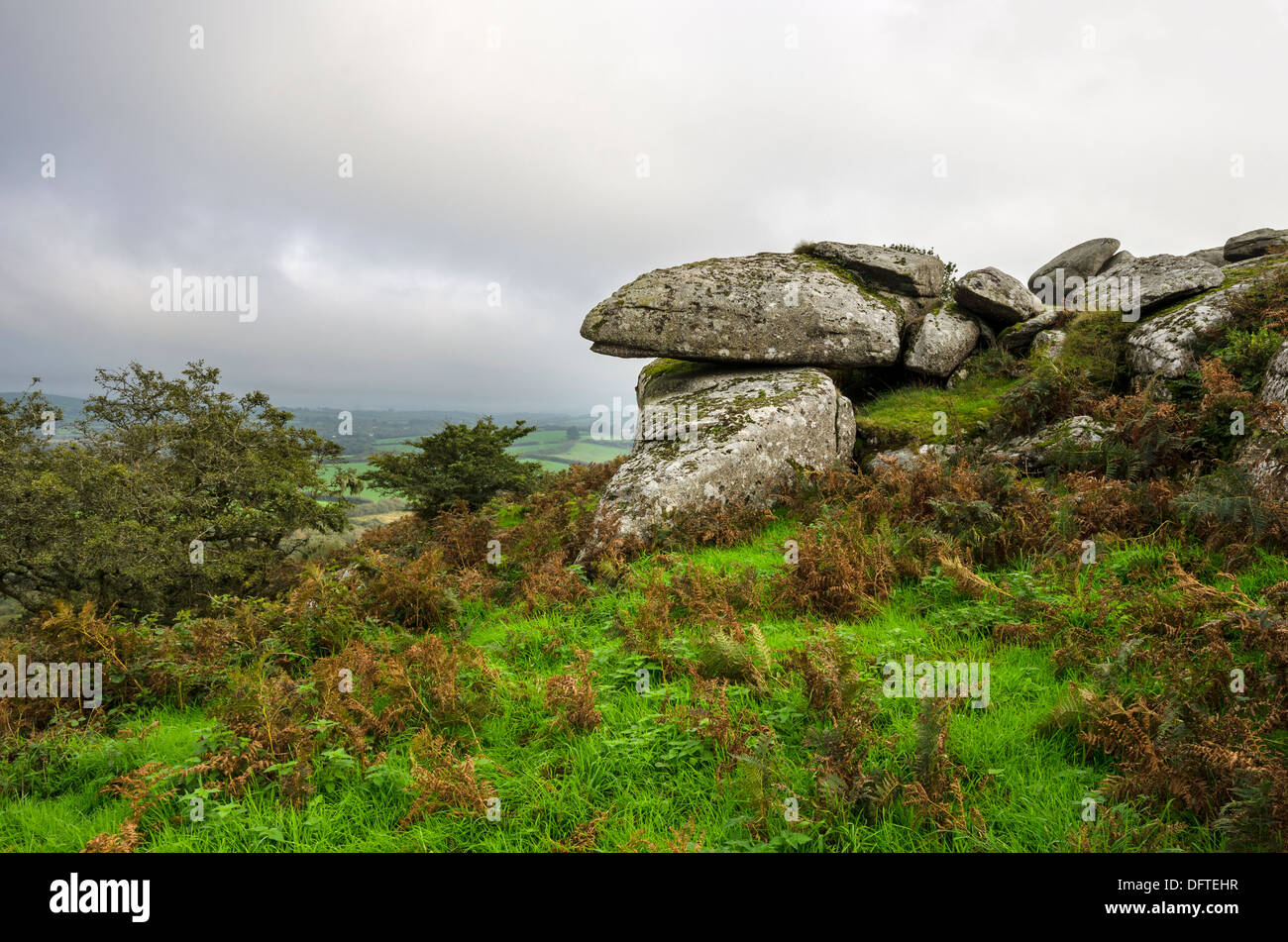 Helman tor nature reserve hi-res stock photography and images - Alamy