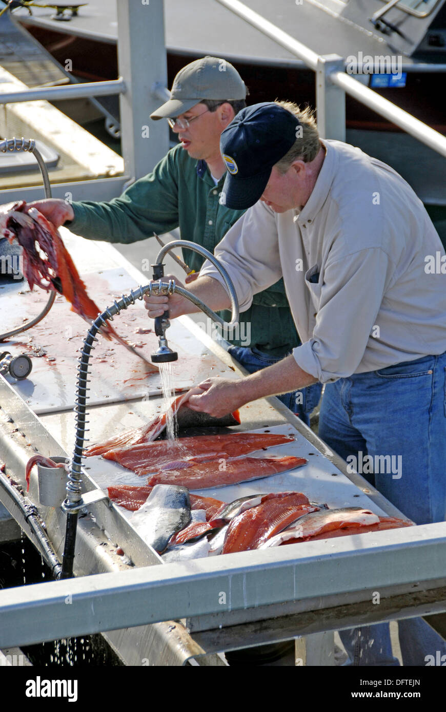 Alaska salmon filet hi-res stock photography and images - Alamy