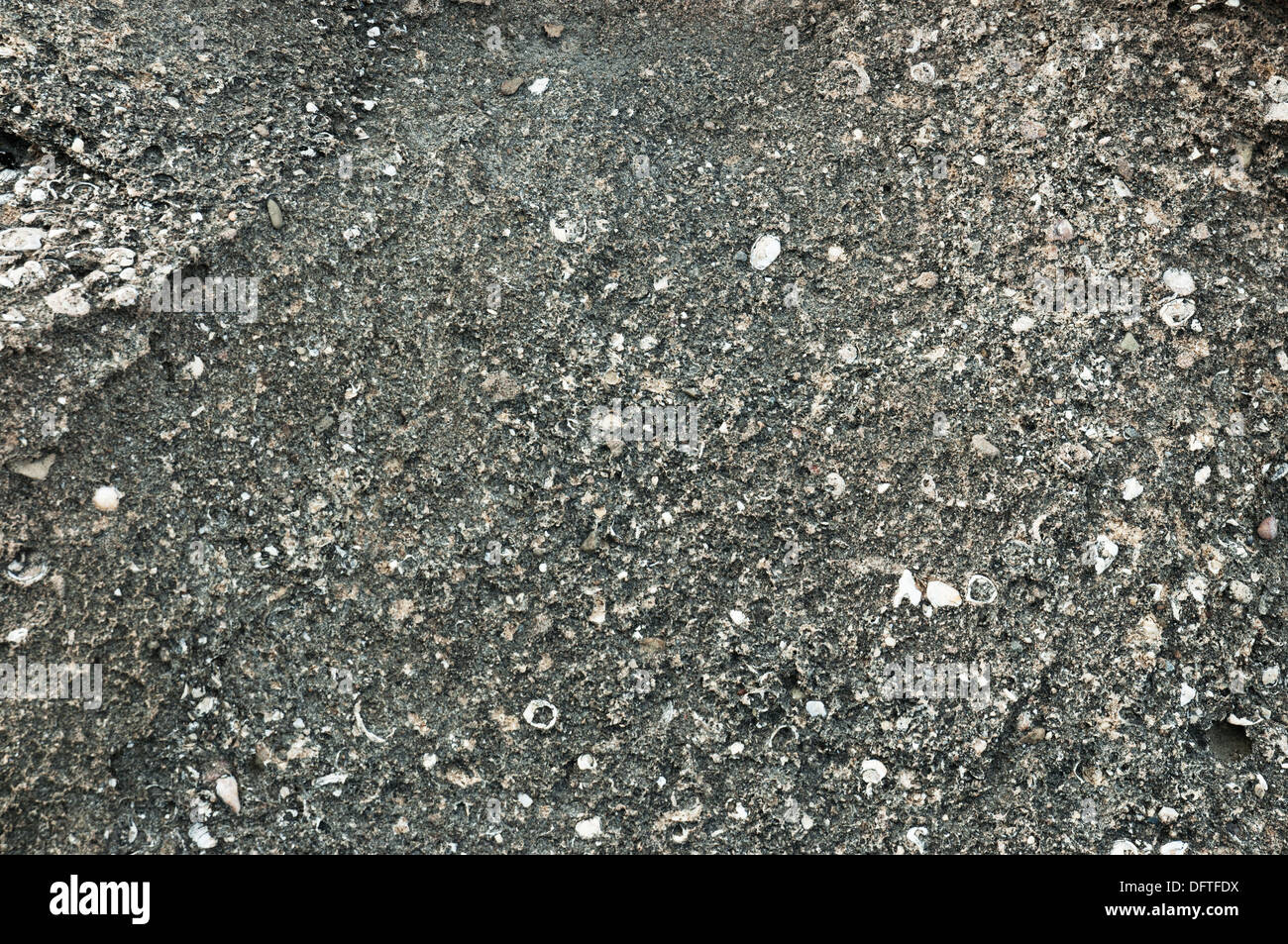 Coquina cement hi-res stock photography and images - Alamy