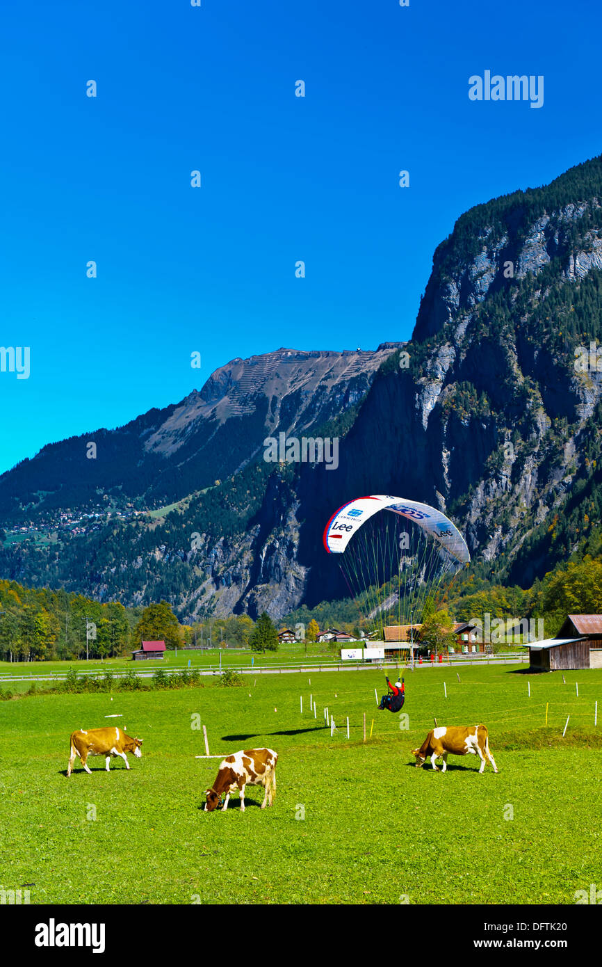 Parachute Jumping High Resolution Stock Photography and Images - Alamy