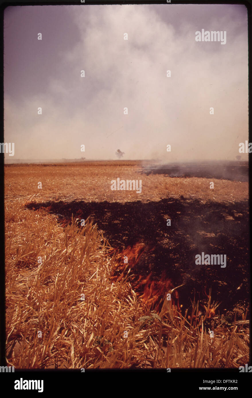 This photograph captures a field of straw burning west of El Centro in ...