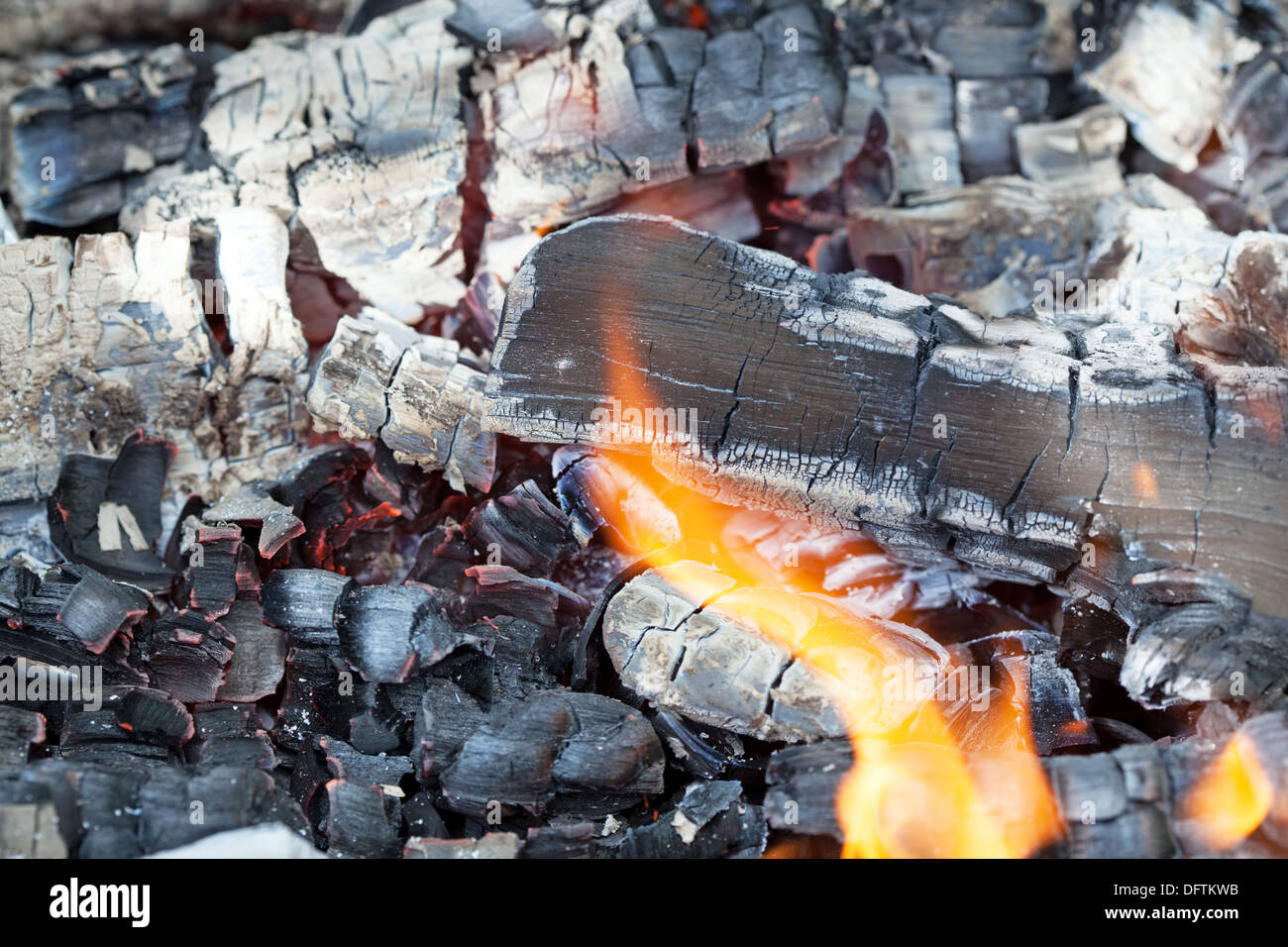 Summertime camp fire in the woods Stock Photo - Alamy