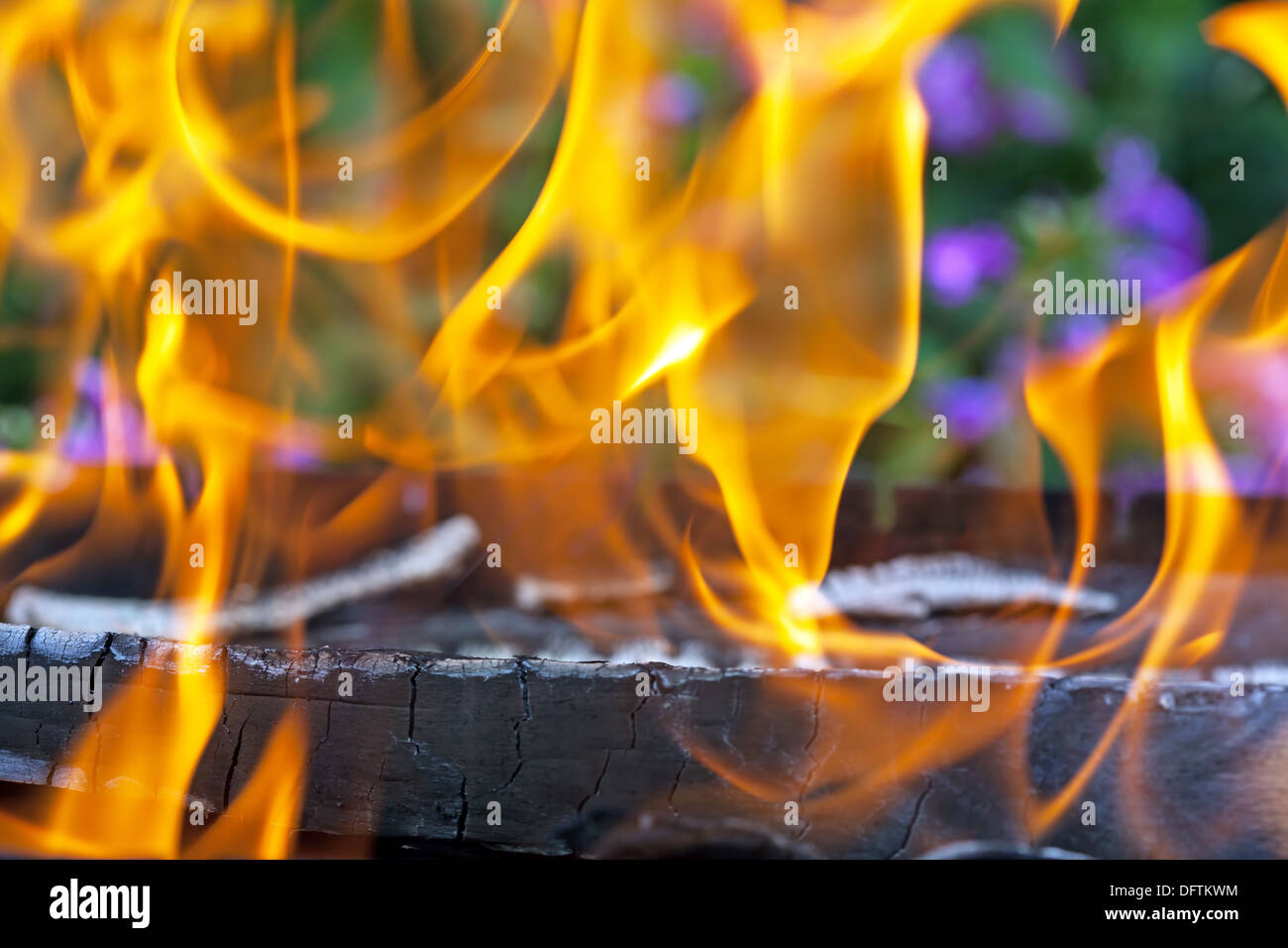 Camp fire in motion hi-res stock photography and images - Alamy