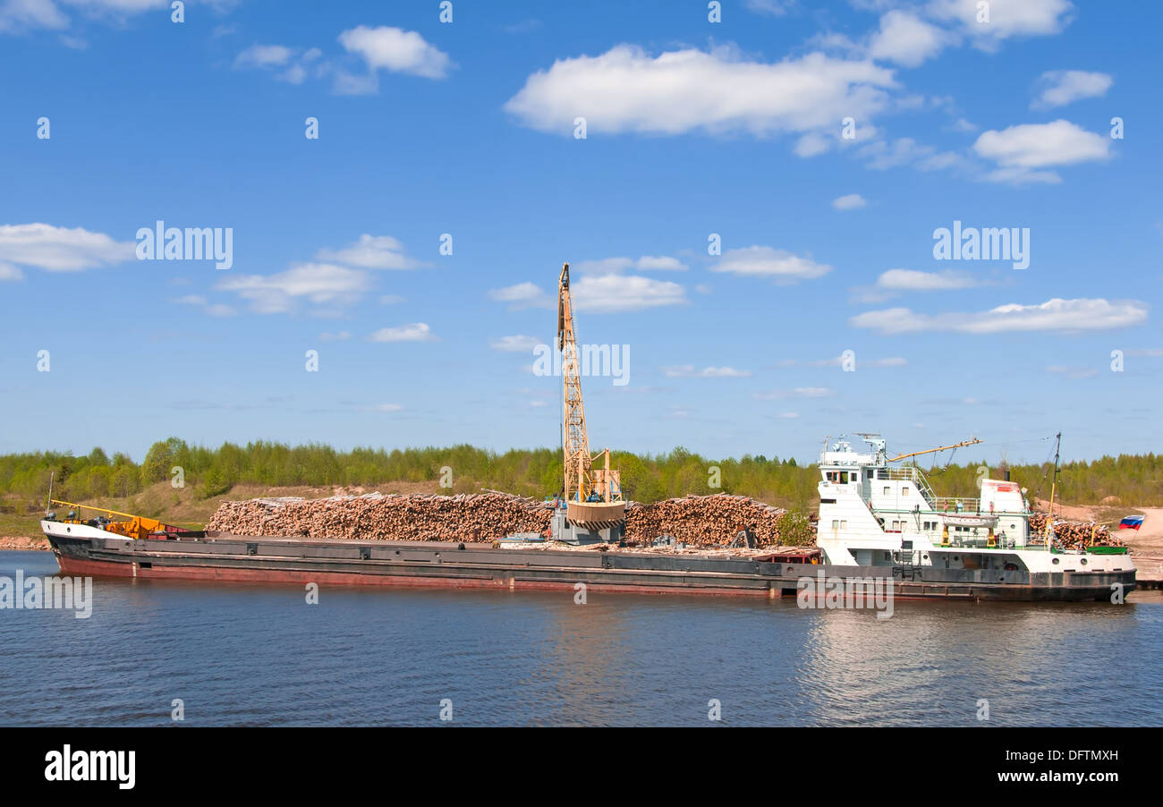 Pile of Graded and Numbered Debarked Logs Stock Photo - Alamy