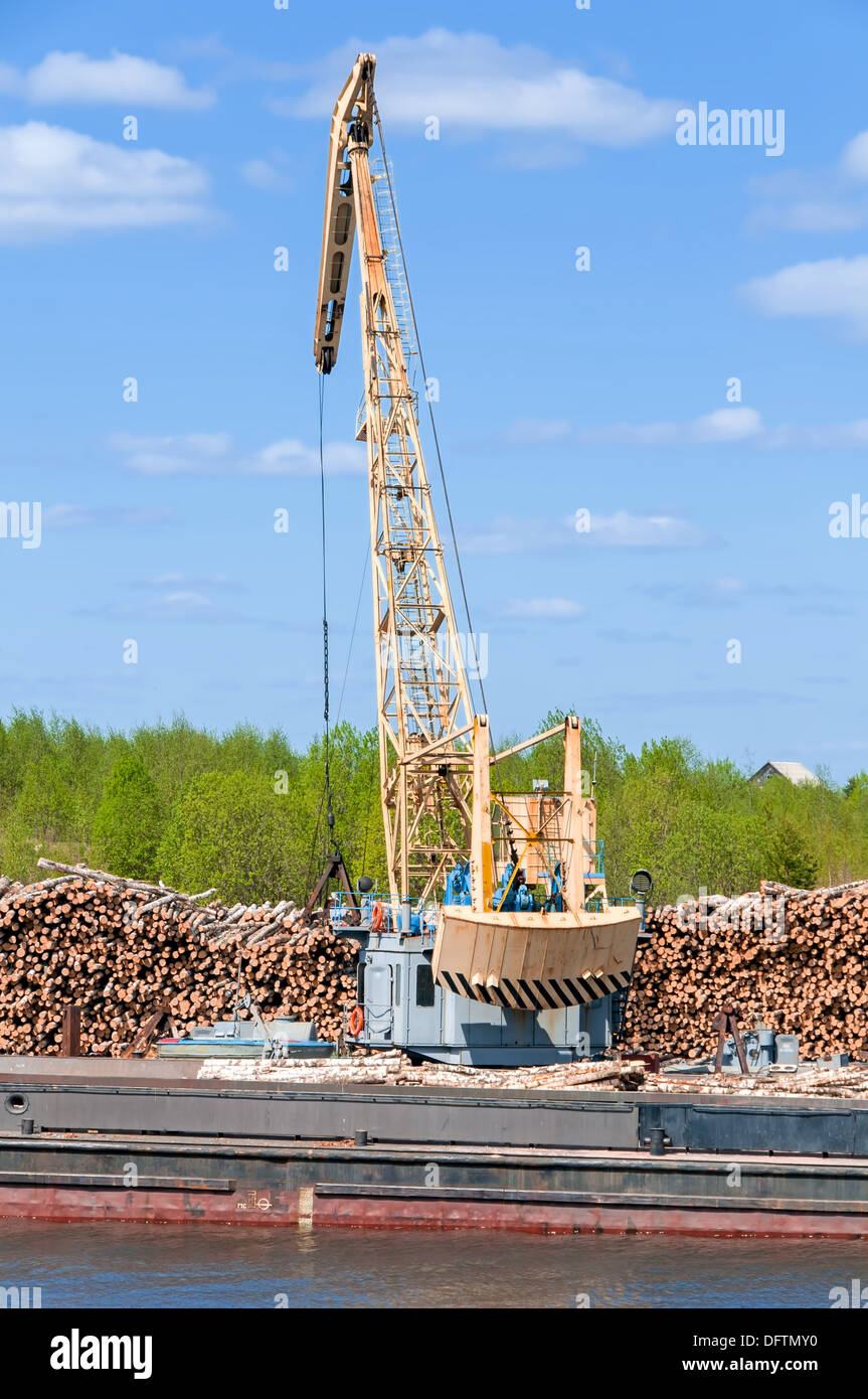 Pile of Graded and Numbered Debarked Logs Stock Photo - Alamy