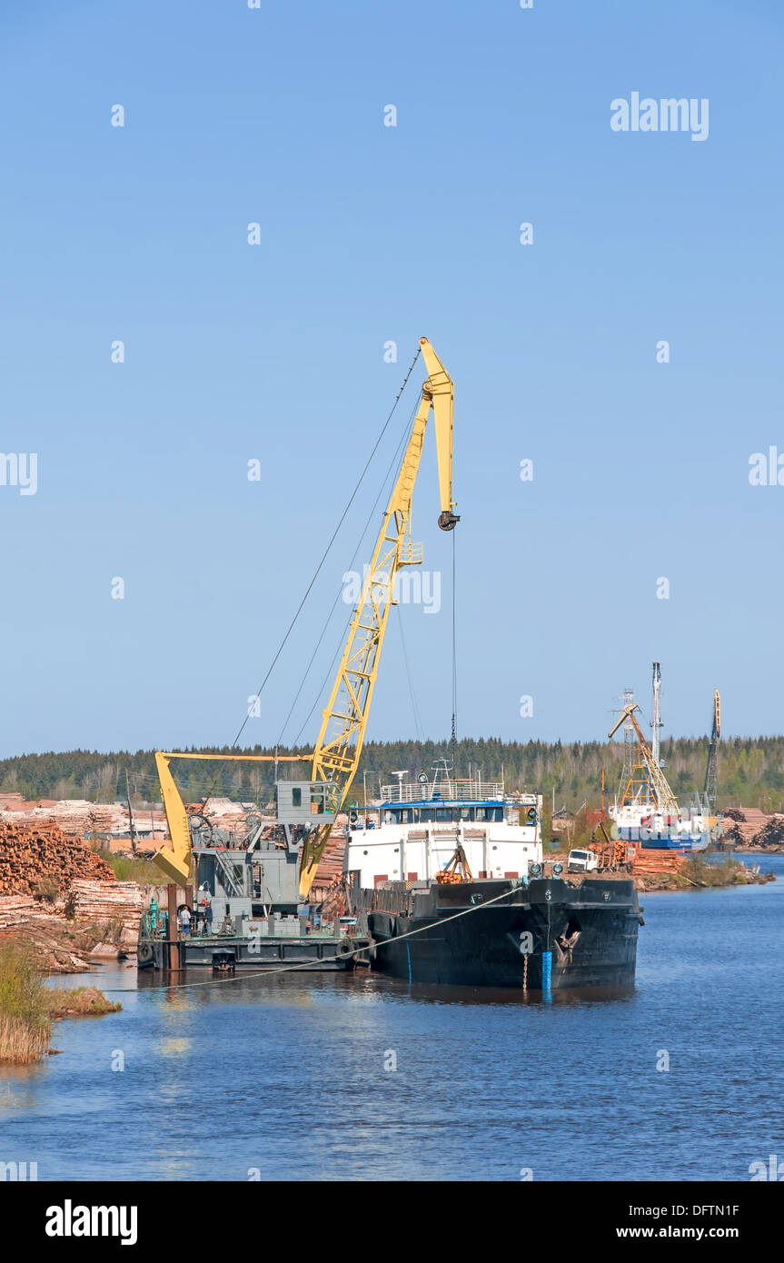 Pile of Graded and Numbered Debarked Logs Stock Photo - Alamy