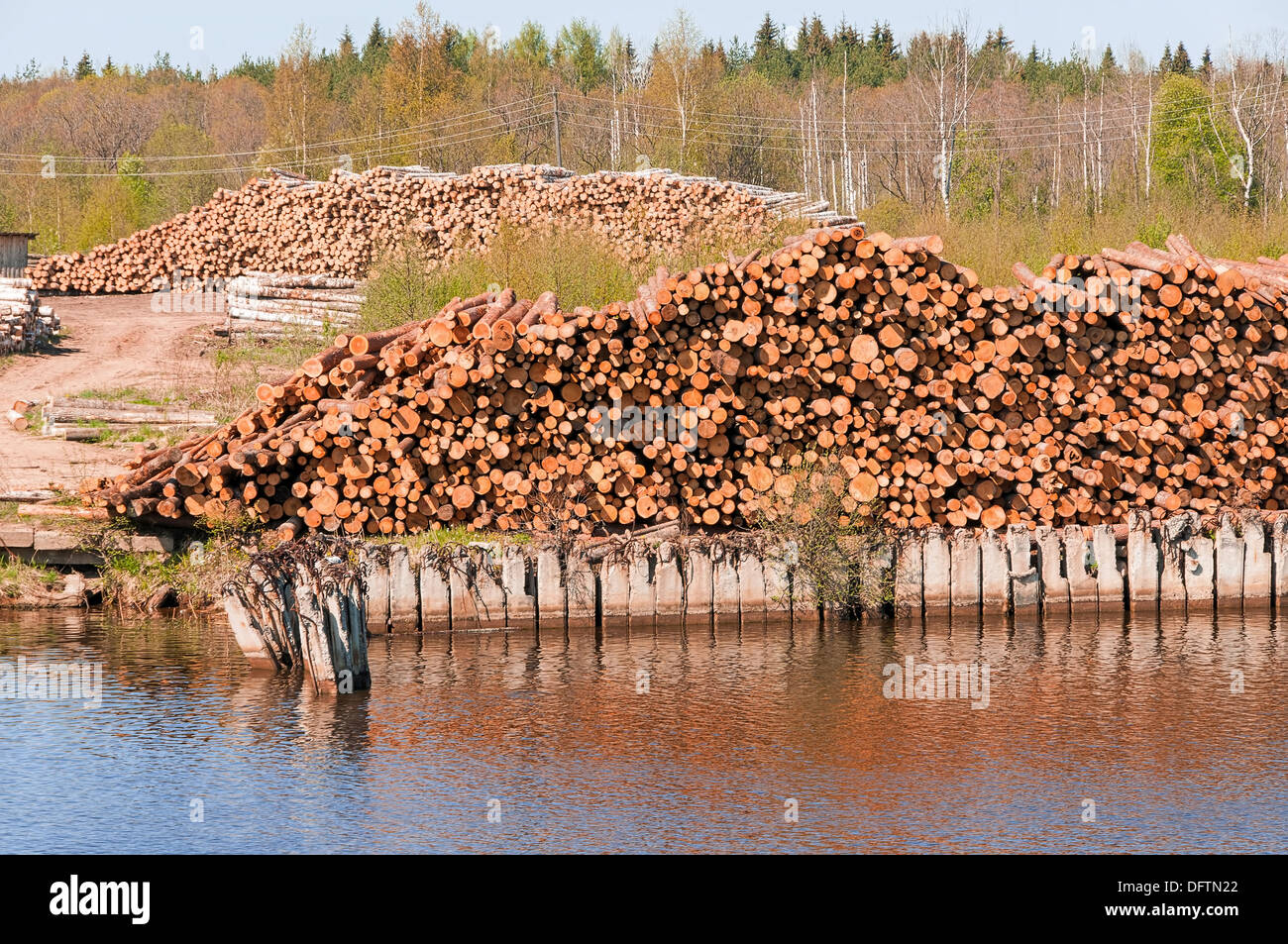 Pile of Graded and Numbered Debarked Logs Stock Photo - Alamy