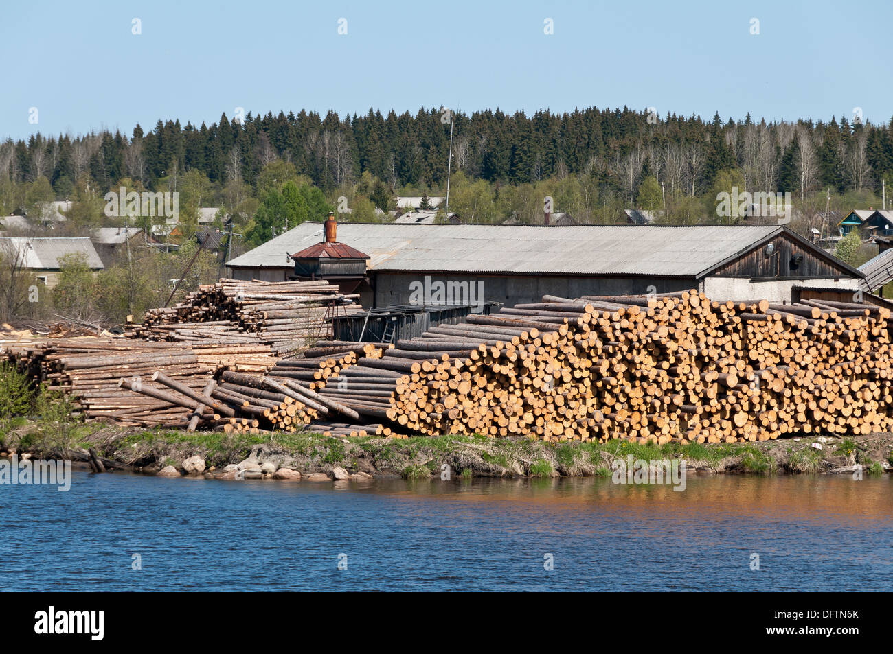 Pile of Graded and Numbered Debarked Logs Stock Photo - Alamy