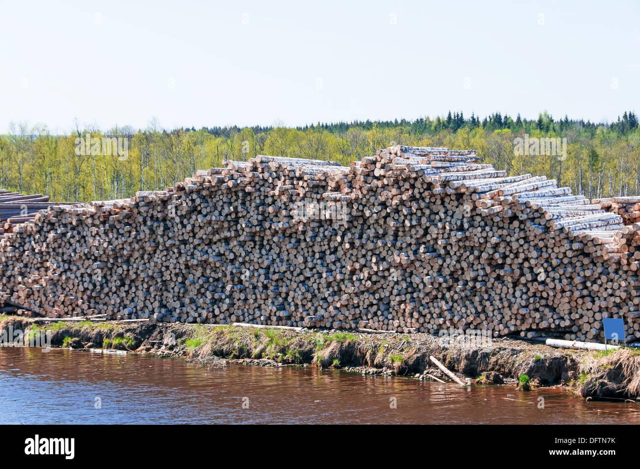Pile of Graded and Numbered Debarked Logs Stock Photo - Alamy