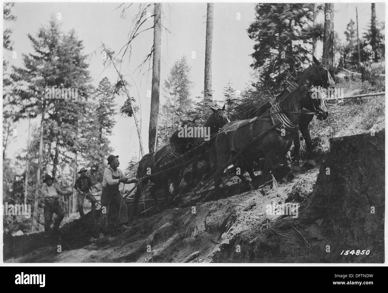A road construction scene from 1920 in Wenatchee, Washington ...
