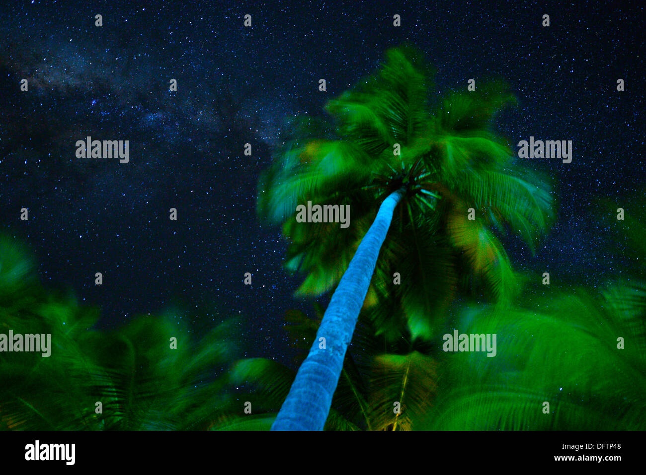 Palm tree and milky way, Ari Atoll, Maldives Stock Photo - Alamy