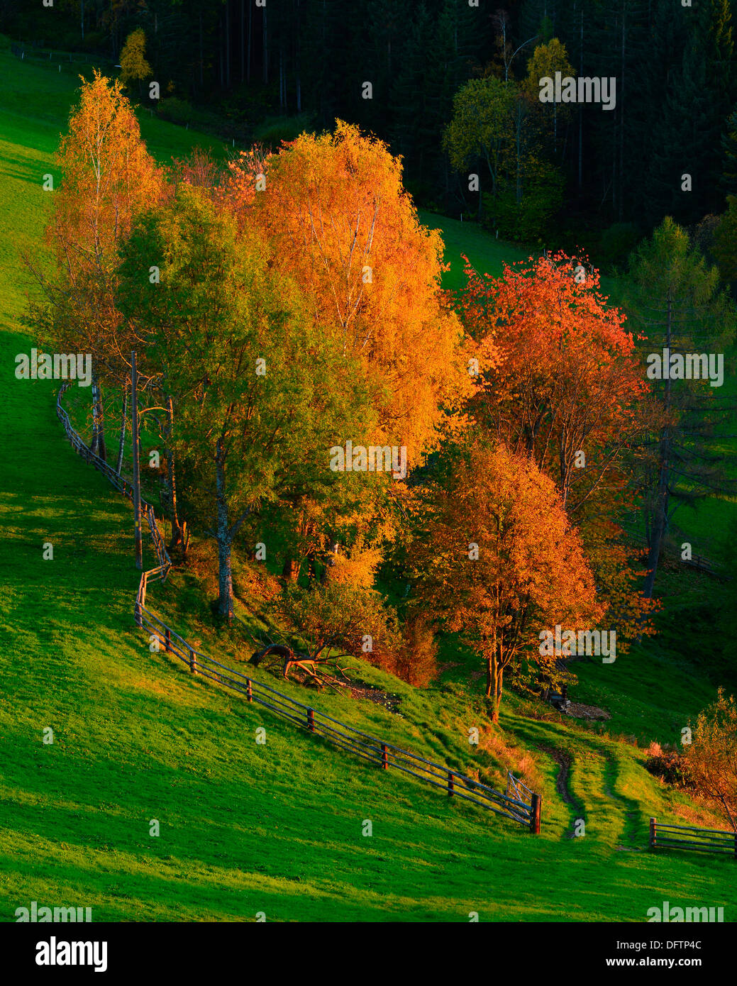 A patch hi-res stock photography and images - Alamy