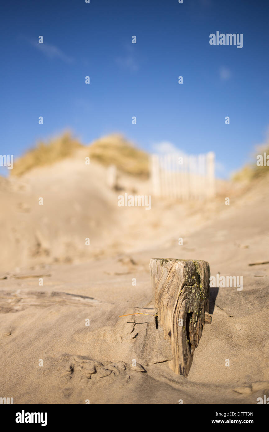 Preservation fence on sand dunes Stock Photo - Alamy