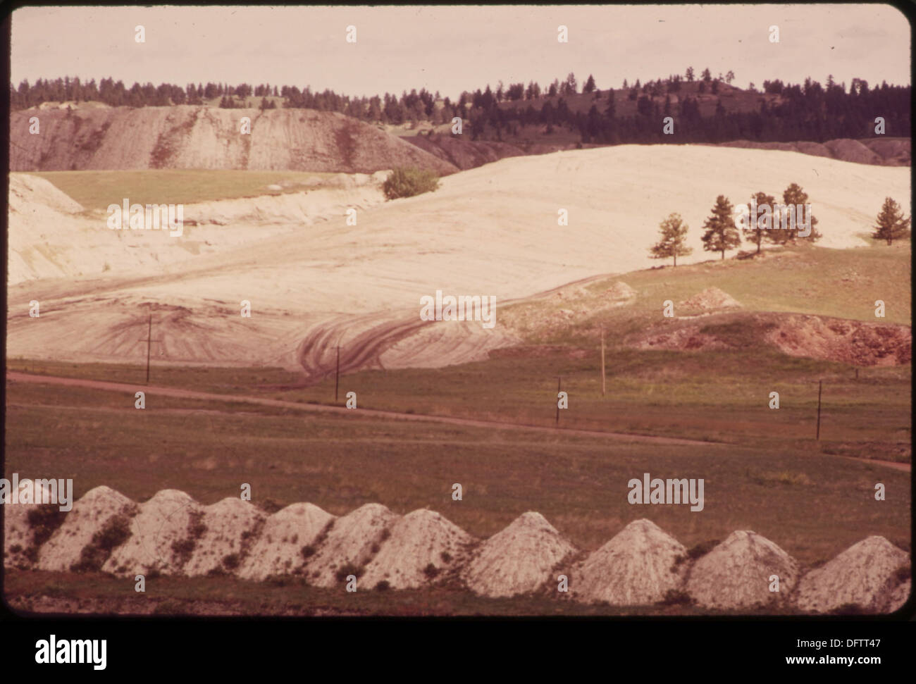 This image shows strip-mined land that has been flattened and graded ...