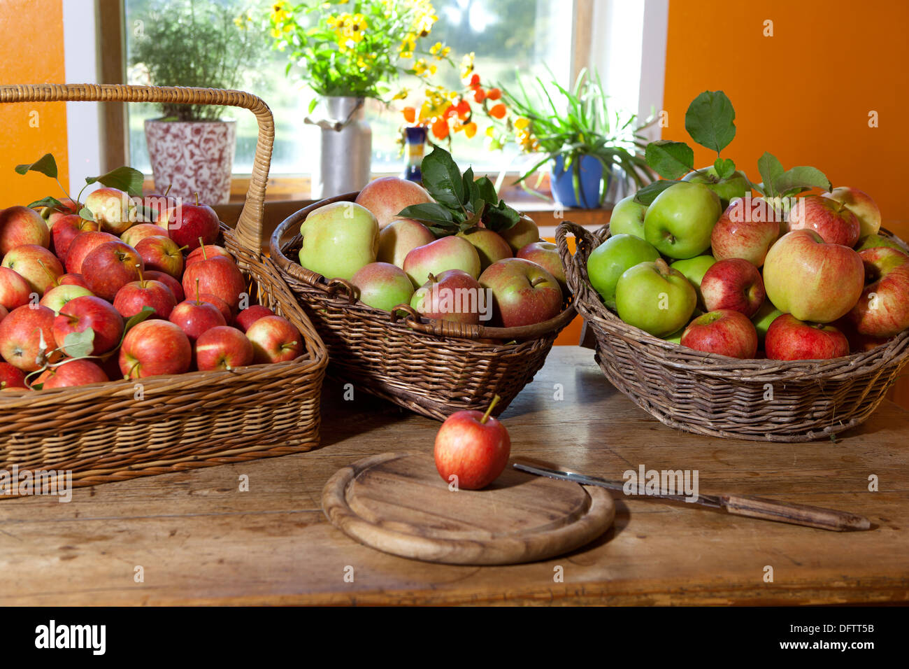 grazing baskets with apples, harvest in autumn Stock Photo - Alamy