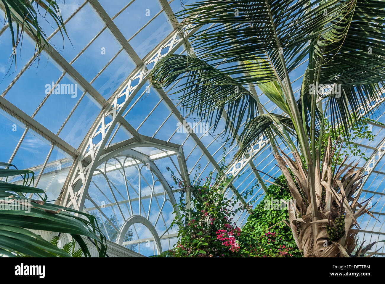Victorian conservatory glass hi-res stock photography and images - Alamy