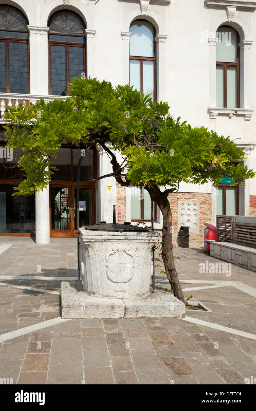 The well edge of the Ca' Foscari University, in Venice (Italy). La ...