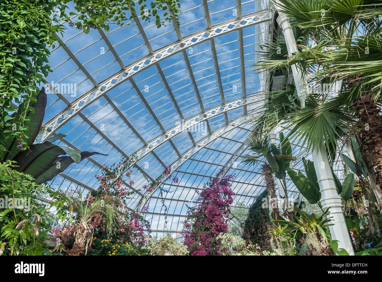 Victorian conservatory glass hi-res stock photography and images - Alamy