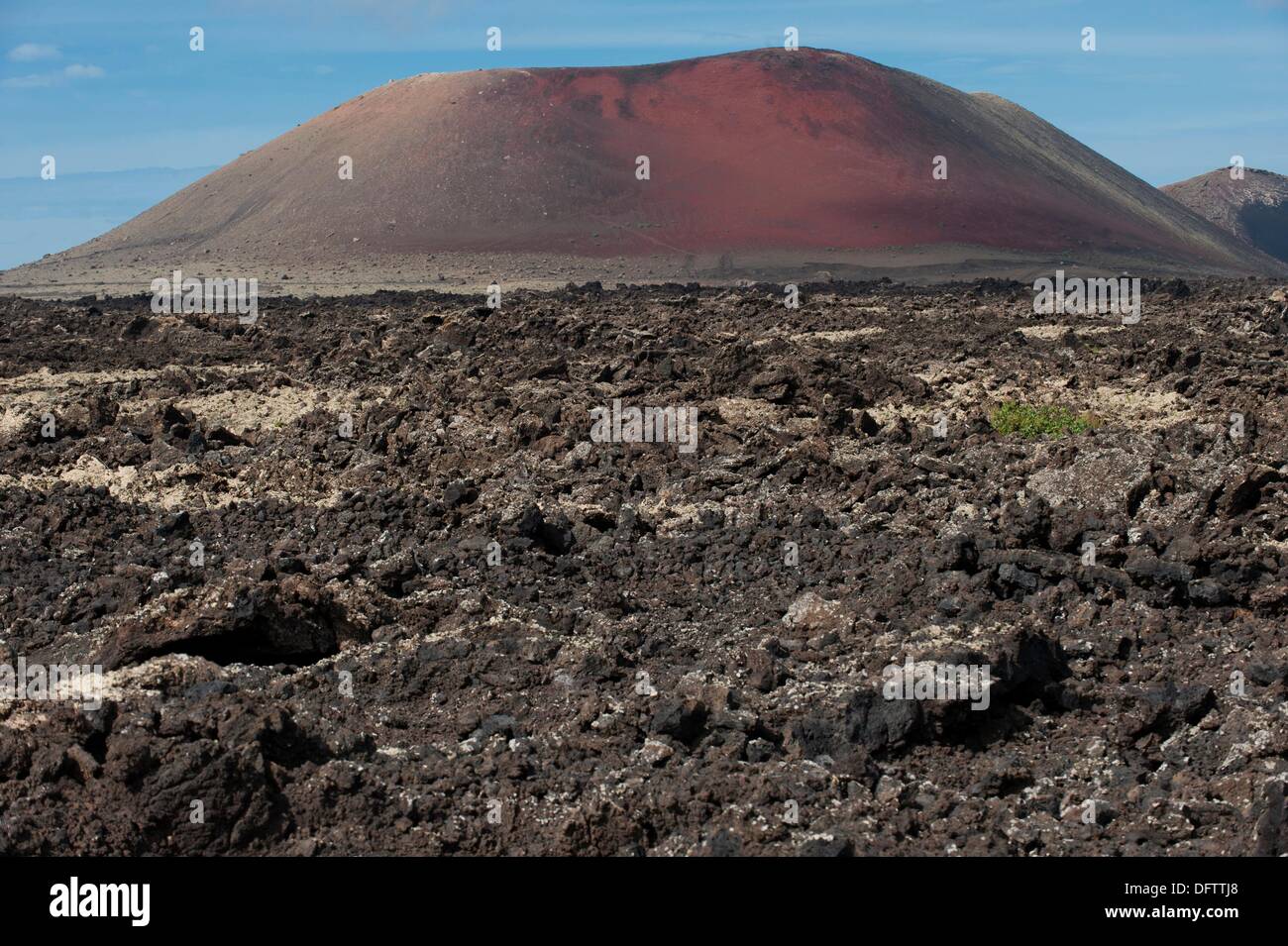 Lava volcano plant hi-res stock photography and images - Alamy