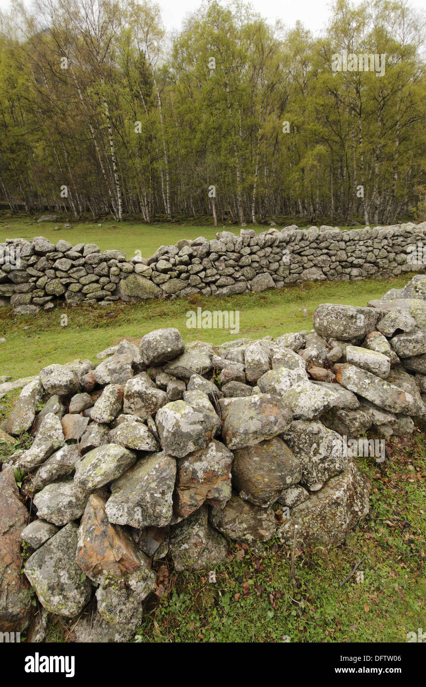 Natural Vegetal Wall High Resolution Stock Photography and Images - Alamy