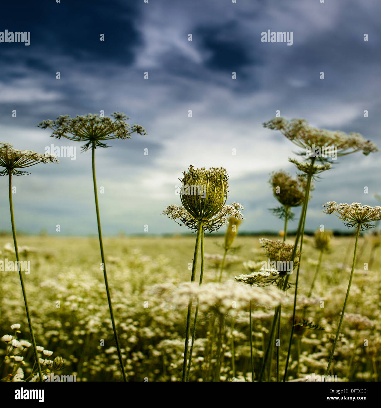 Dramatic natural landscape for your design Stock Photo - Alamy