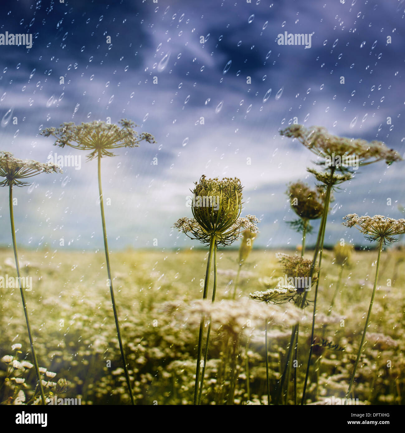 Natural landscape for your design hi-res stock photography and images ...