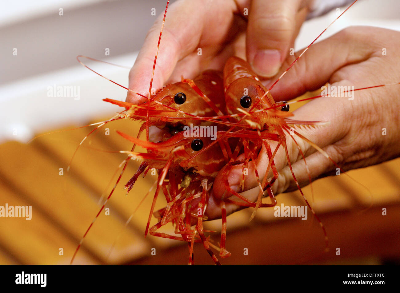 Shrimp Trap High Resolution Stock Photography and Images - Alamy