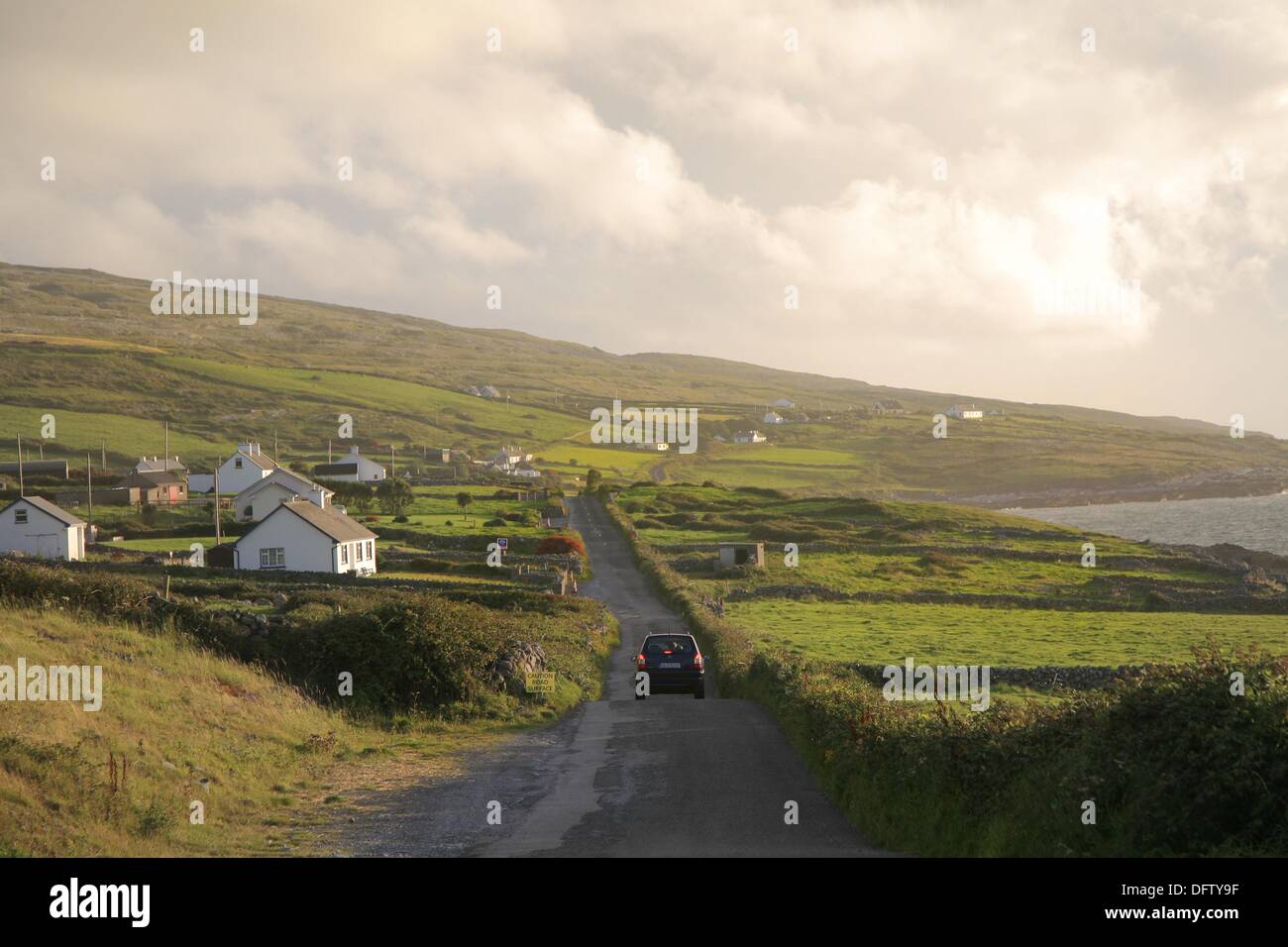 Burren ireland cow hi-res stock photography and images - Alamy