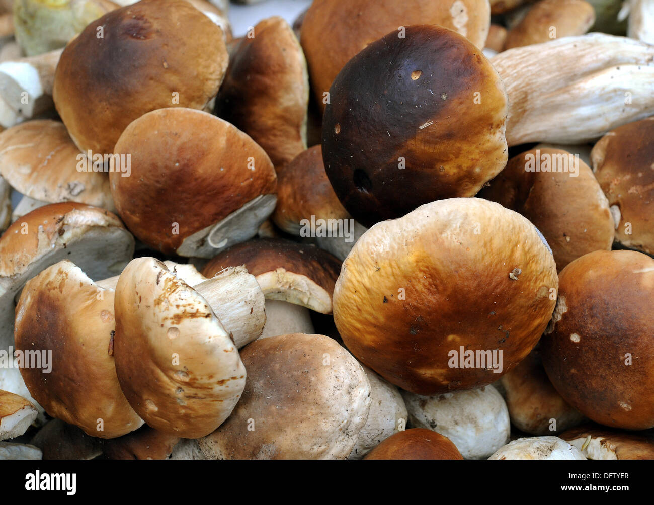 Penny Stall High Resolution Stock Photography and Images - Alamy