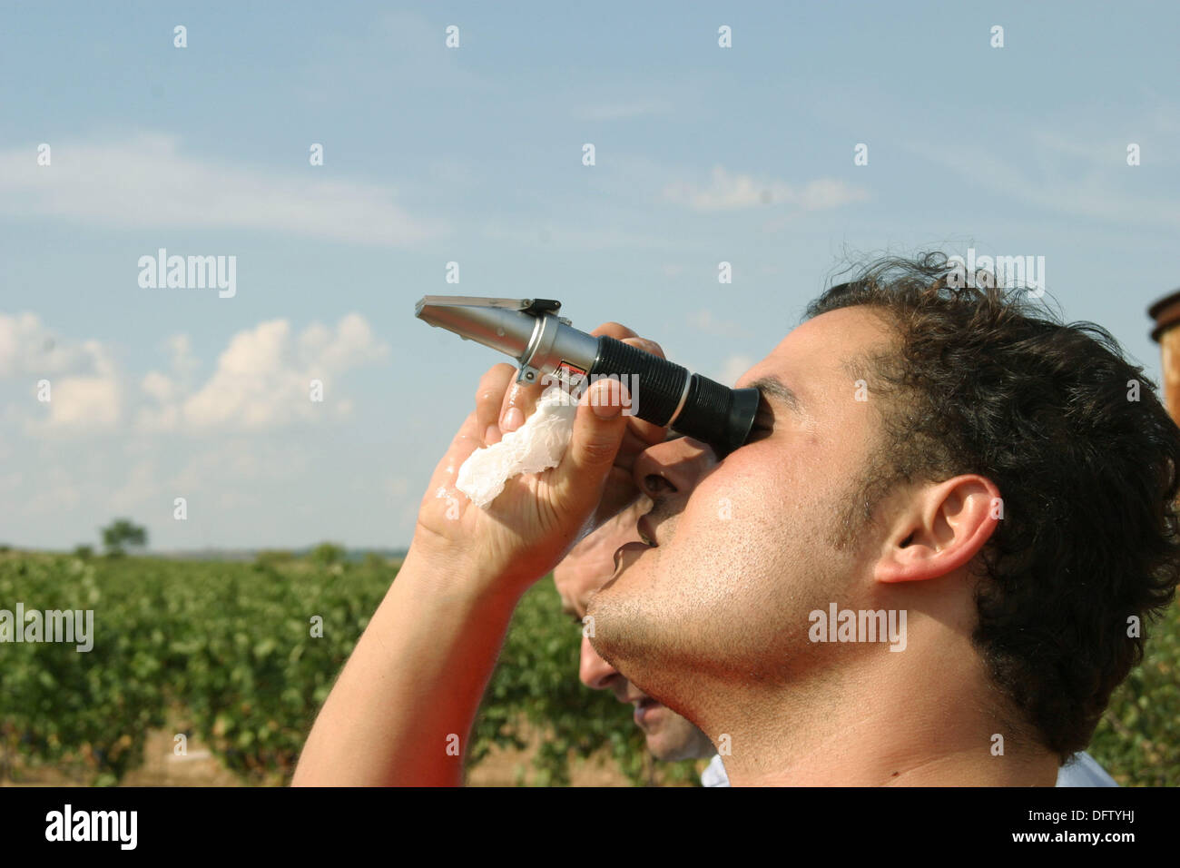 Checking alcohol percentage in vineyard Stock Photo - Alamy