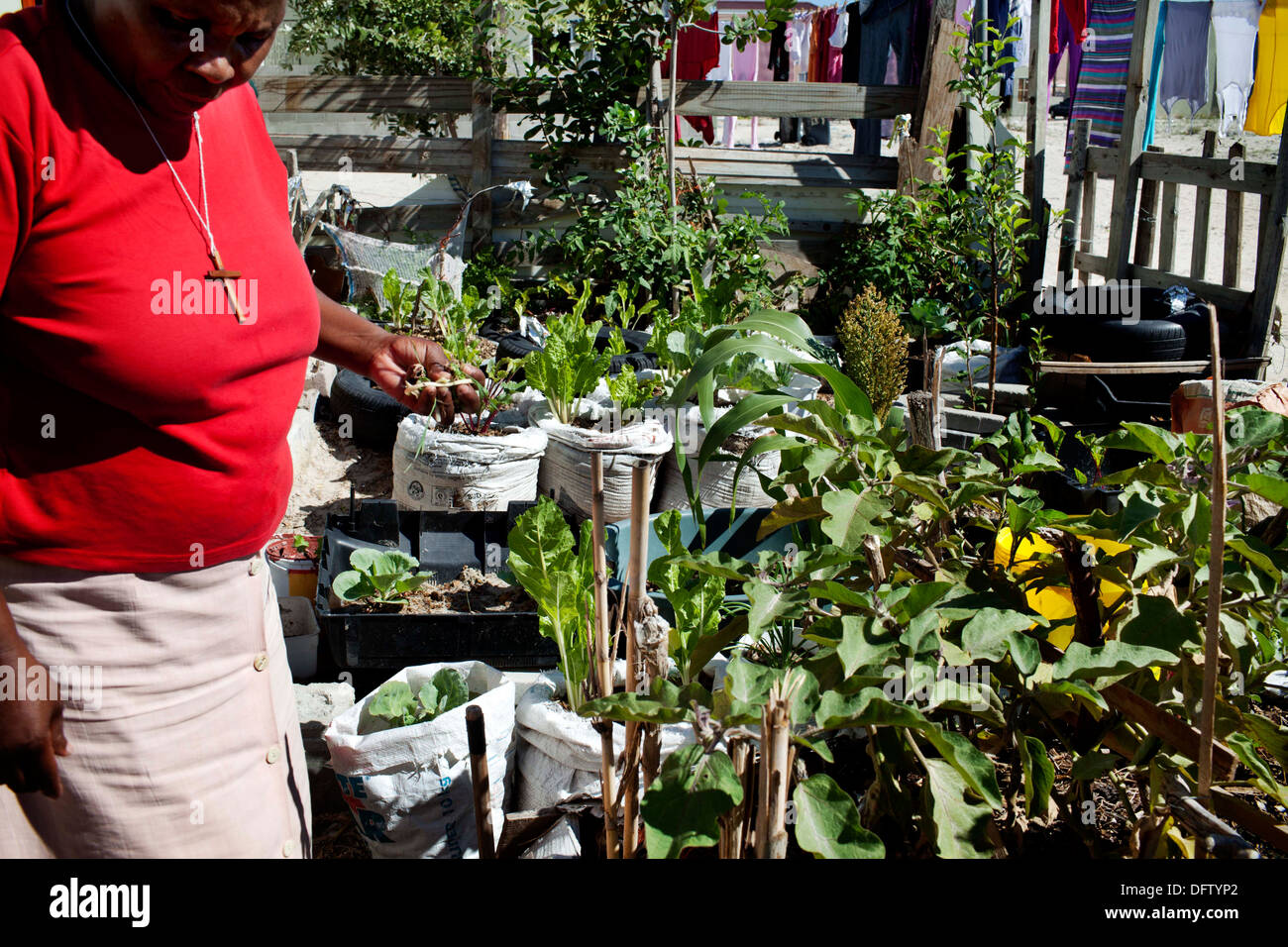 Delft township hi-res stock photography and images - Alamy