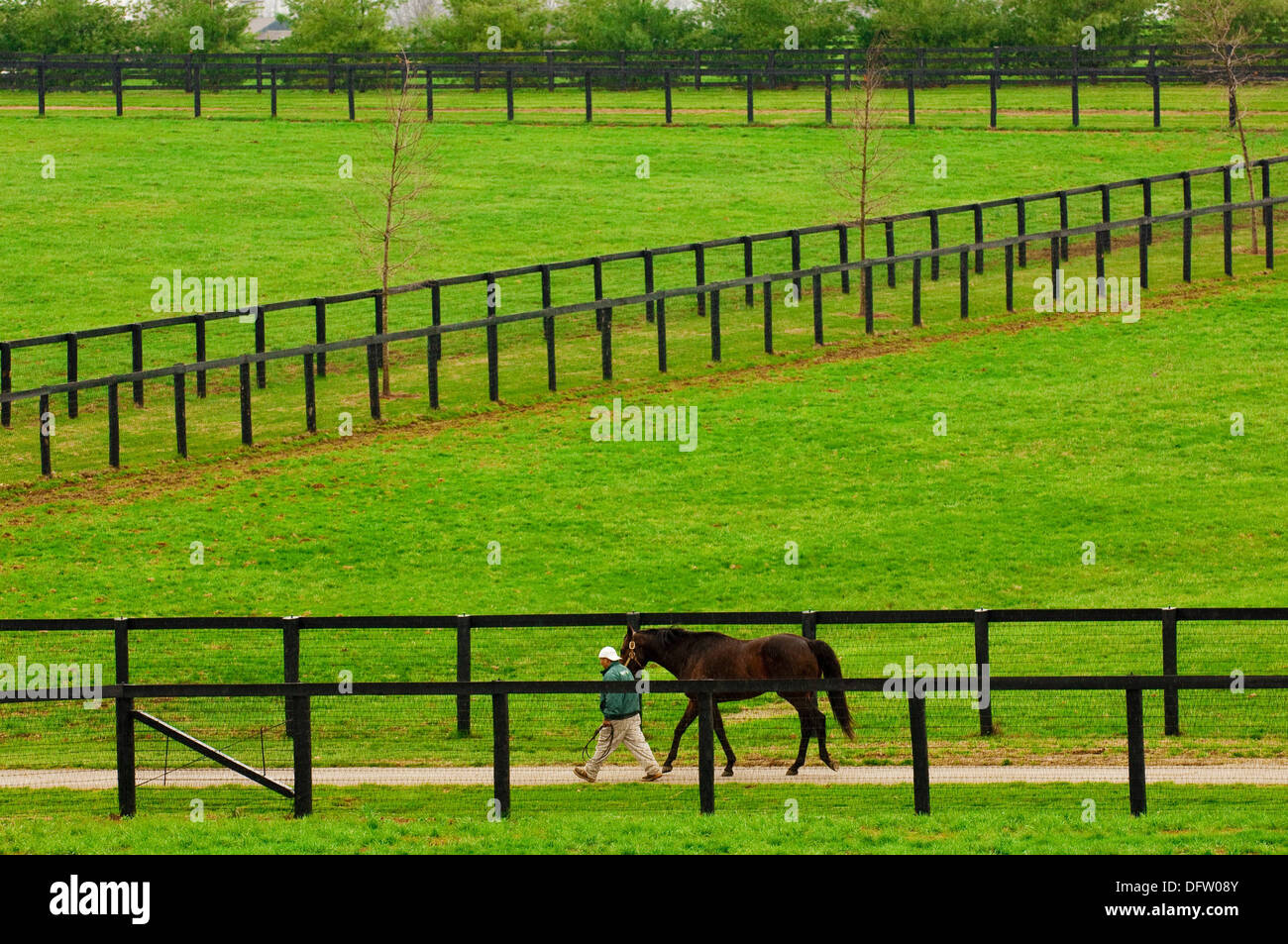 Winstar High Resolution Stock Photography and Images - Alamy