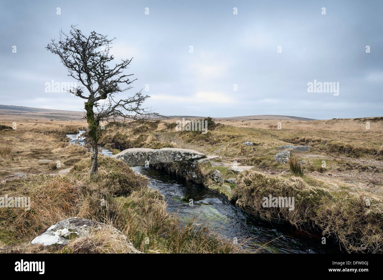 Babbling brook hi-res stock photography and images - Alamy
