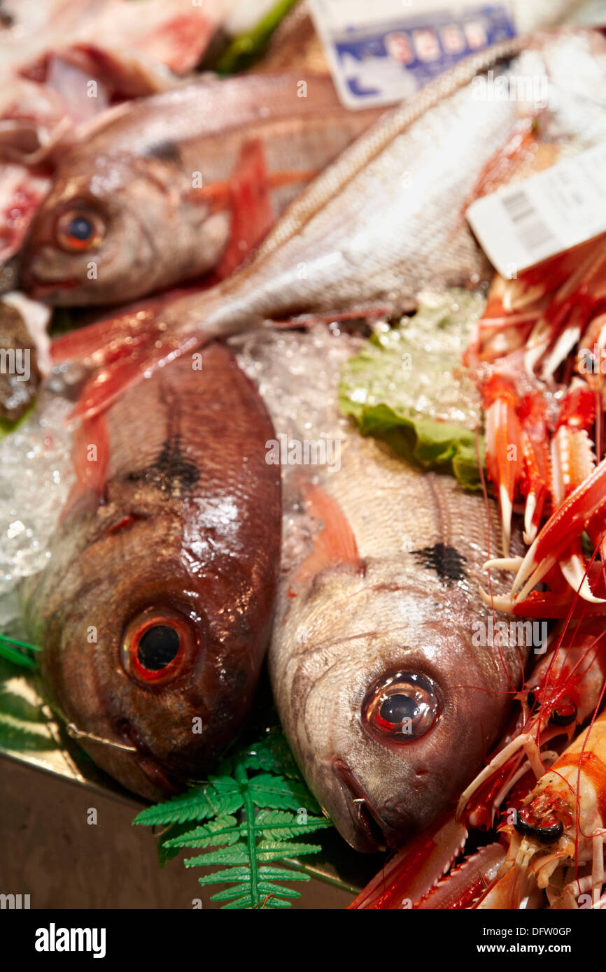 Pescaderia hi-res stock photography and images - Alamy