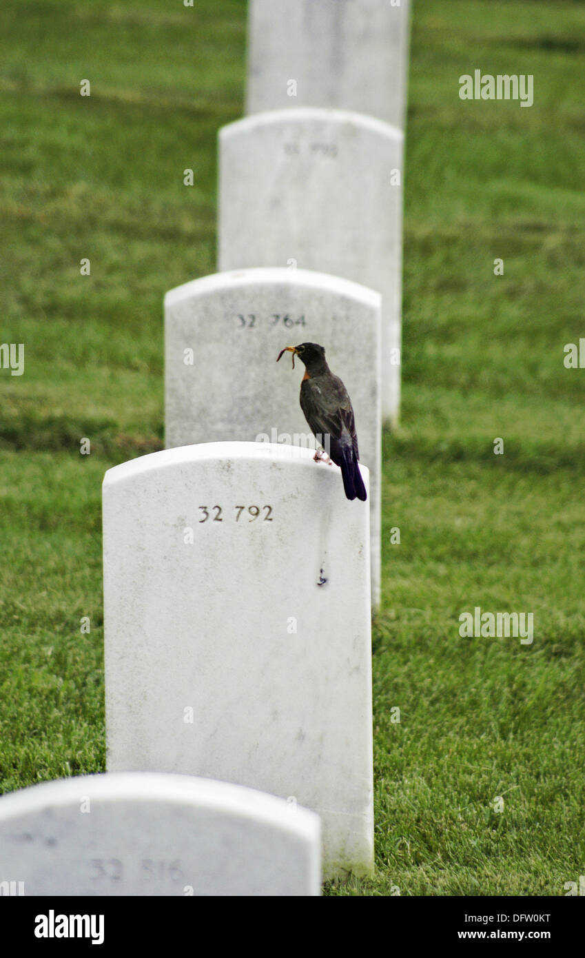 Worm death hi-res stock photography and images - Alamy