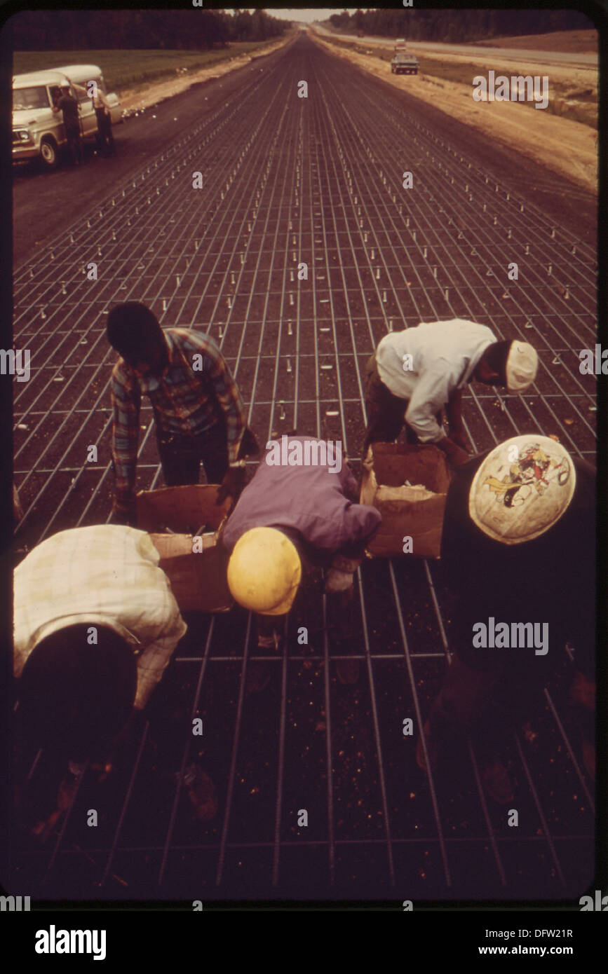 Steel rods, made from recycled automobile scrap metal, are being ...