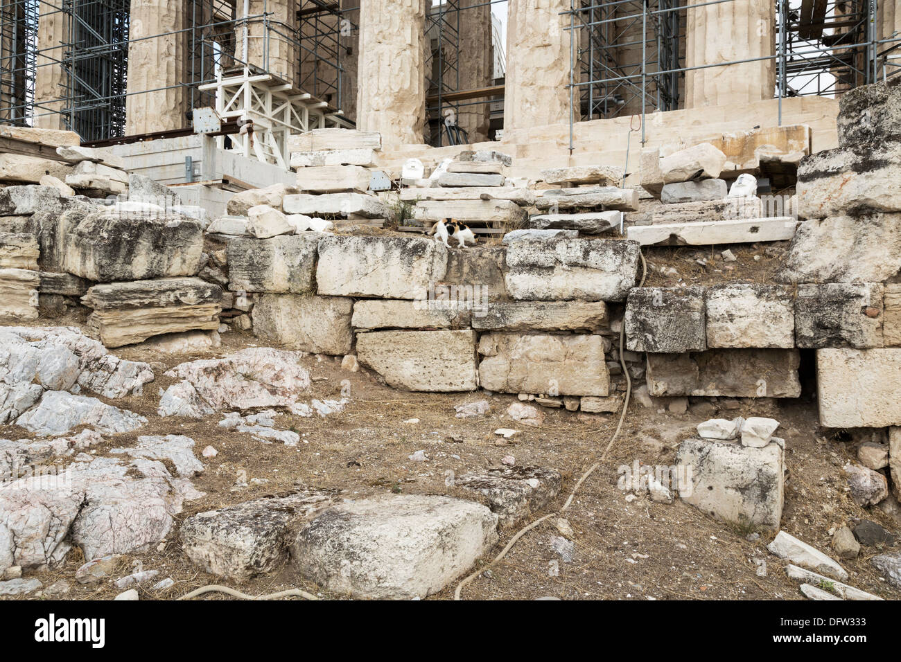 Callicrates hi-res stock photography and images - Alamy