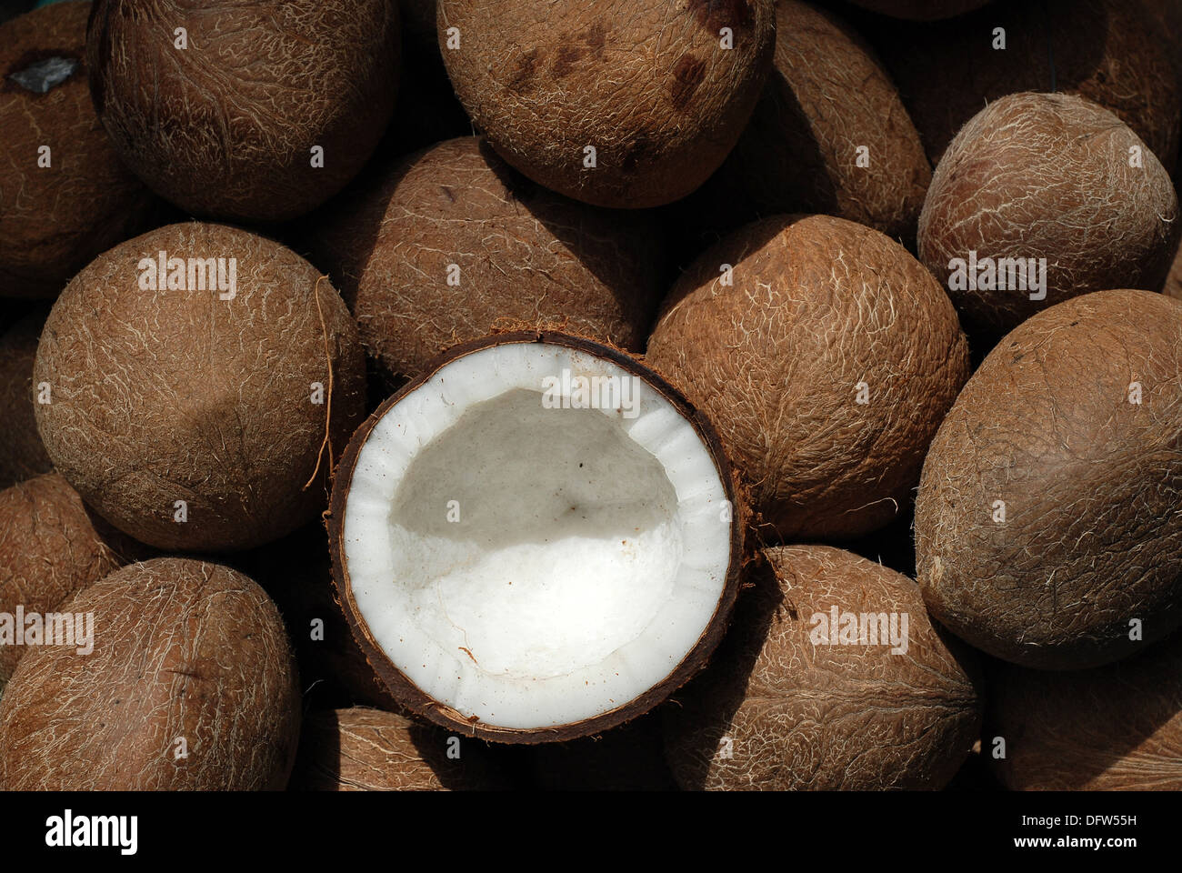 coconut half on dry coconuts Stock Photo - Alamy