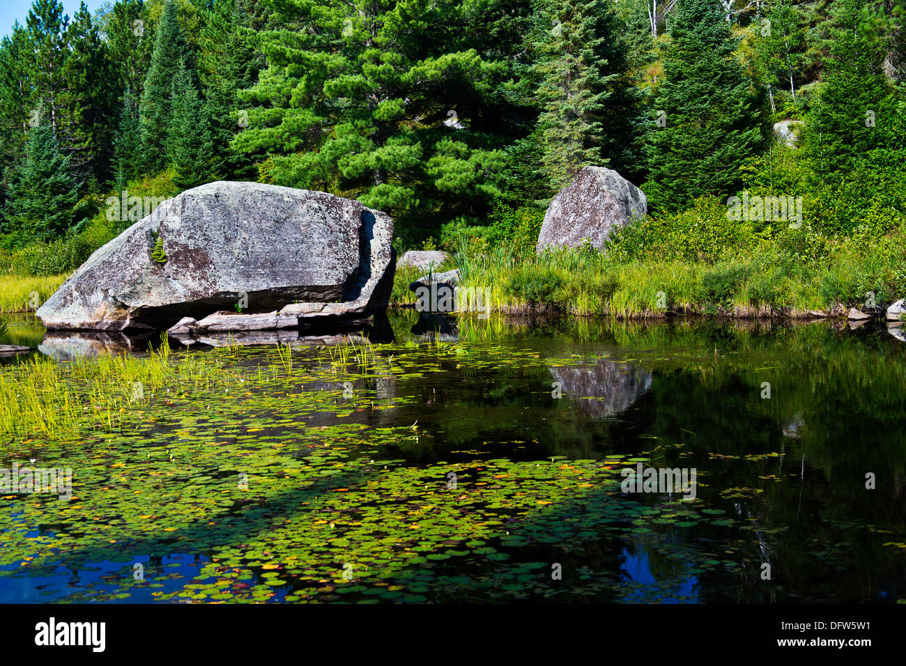 Algonquin Provincial Park Huntsville Ontario Canada Opeongo Lake Stock ...