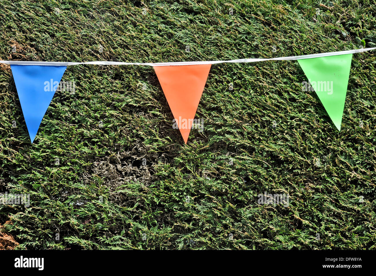 Privit hi-res stock photography and images - Alamy